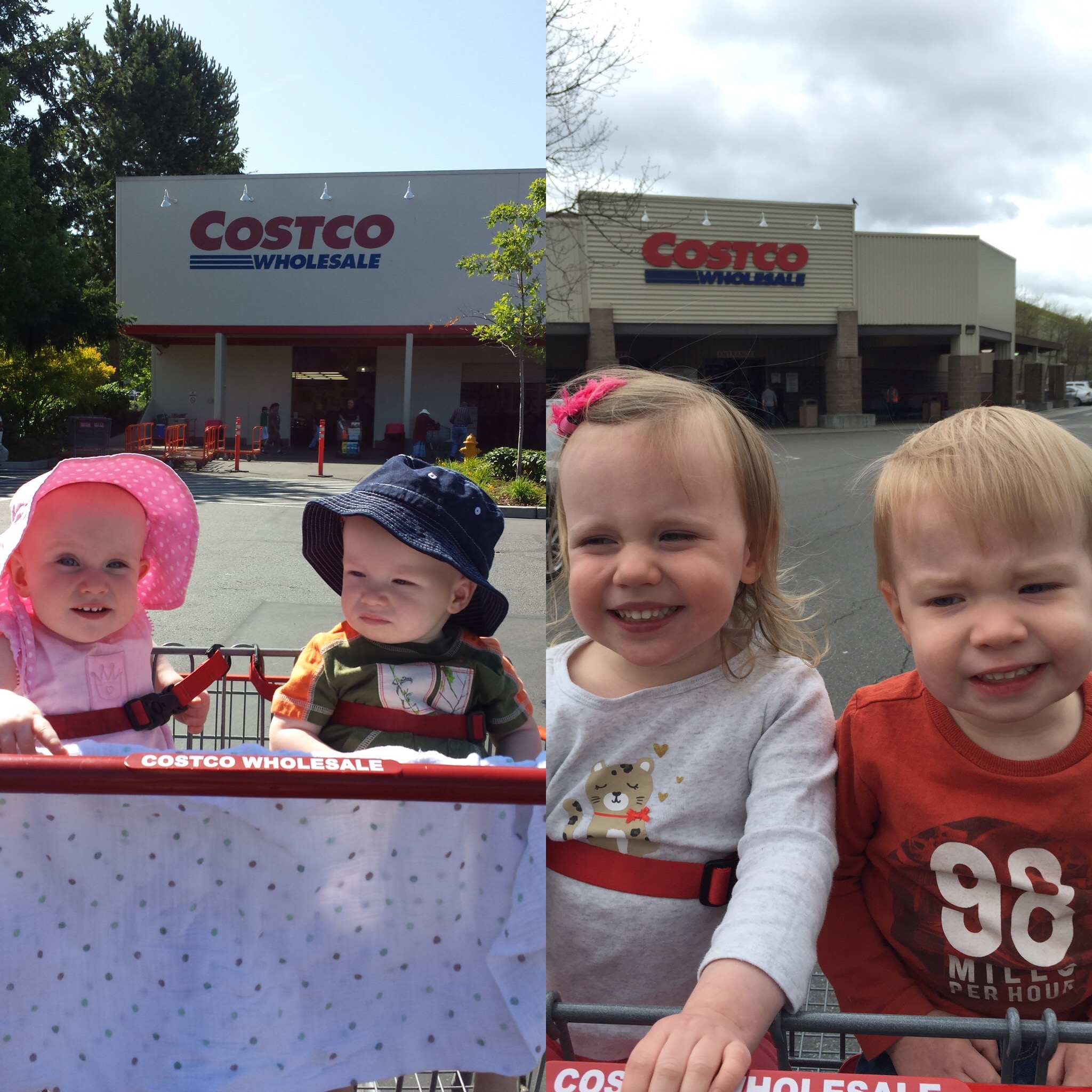 Conquering Costco | "In good writing, WORDS BECOME ONE with things."